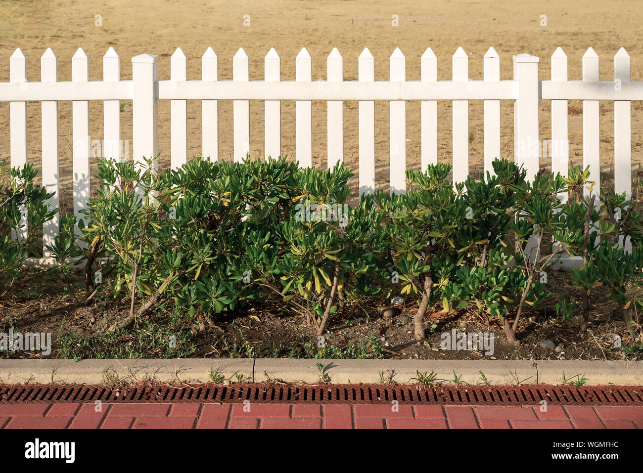 White fence with bushes, road and pale brown field behind Stock Photo ...