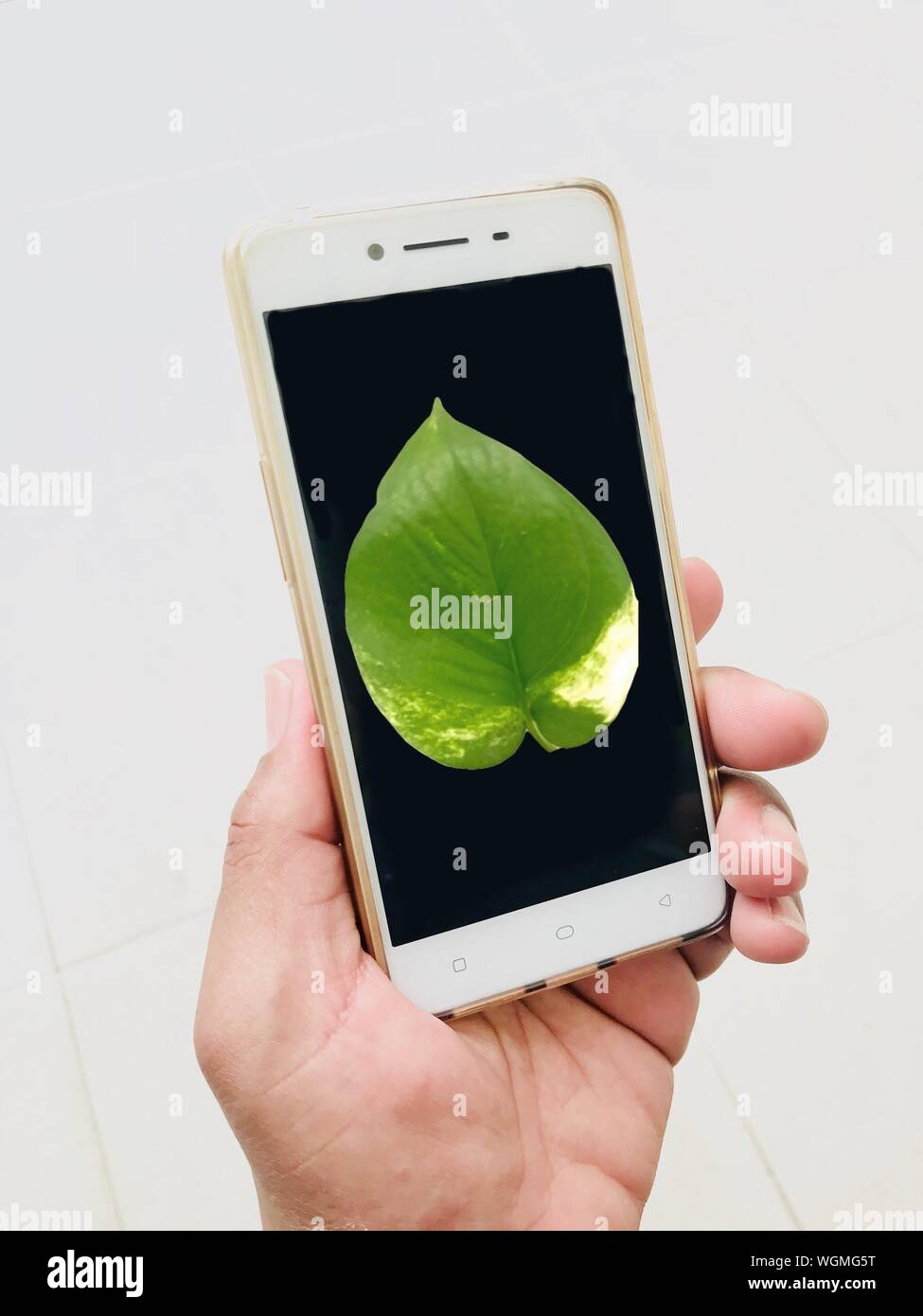 Digital mobile asia hi-res stock photography and images - Alamy