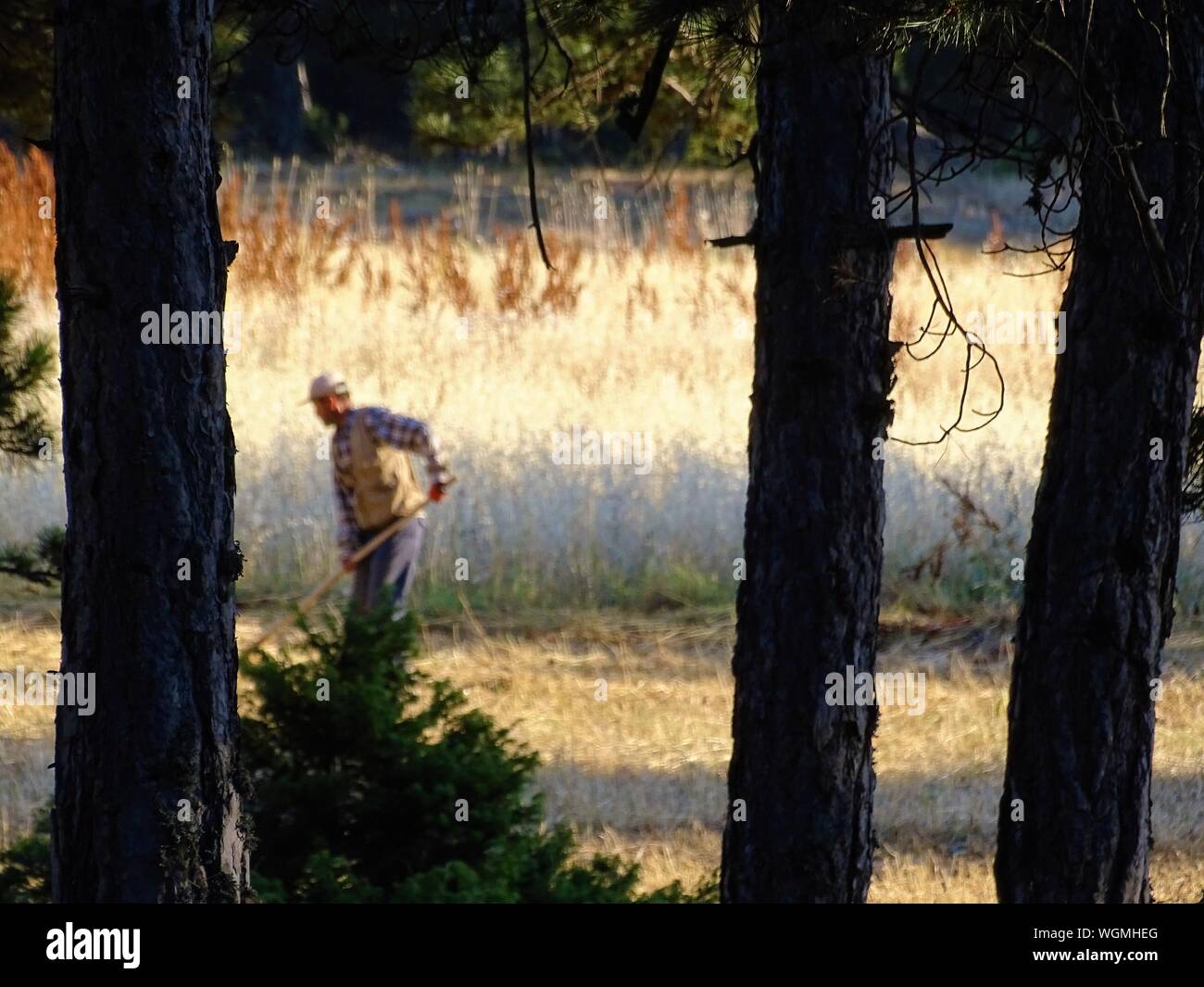 Cleaning field hi-res stock photography and images - Alamy