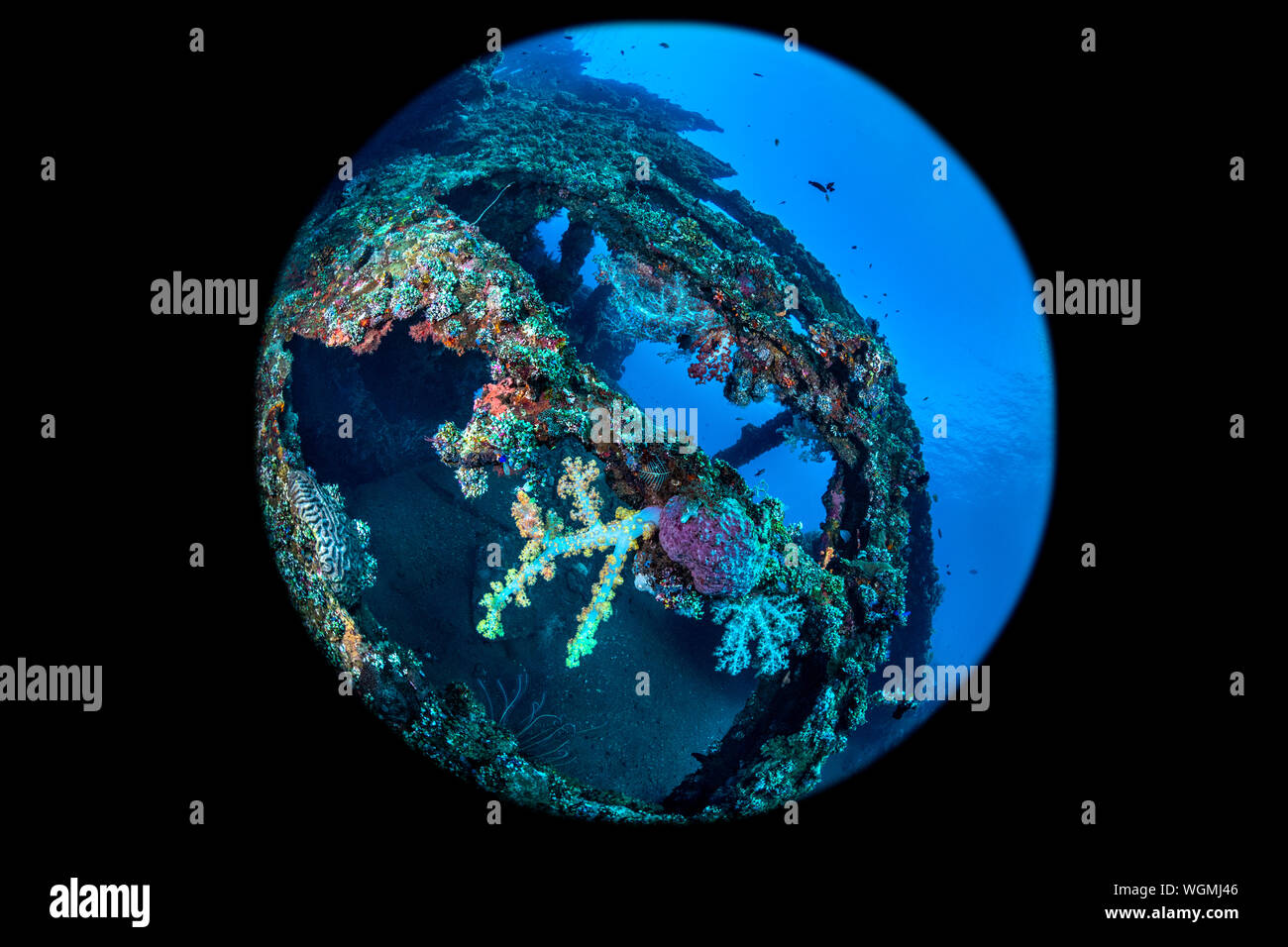 Uss liberty ship hi-res stock photography and images - Alamy