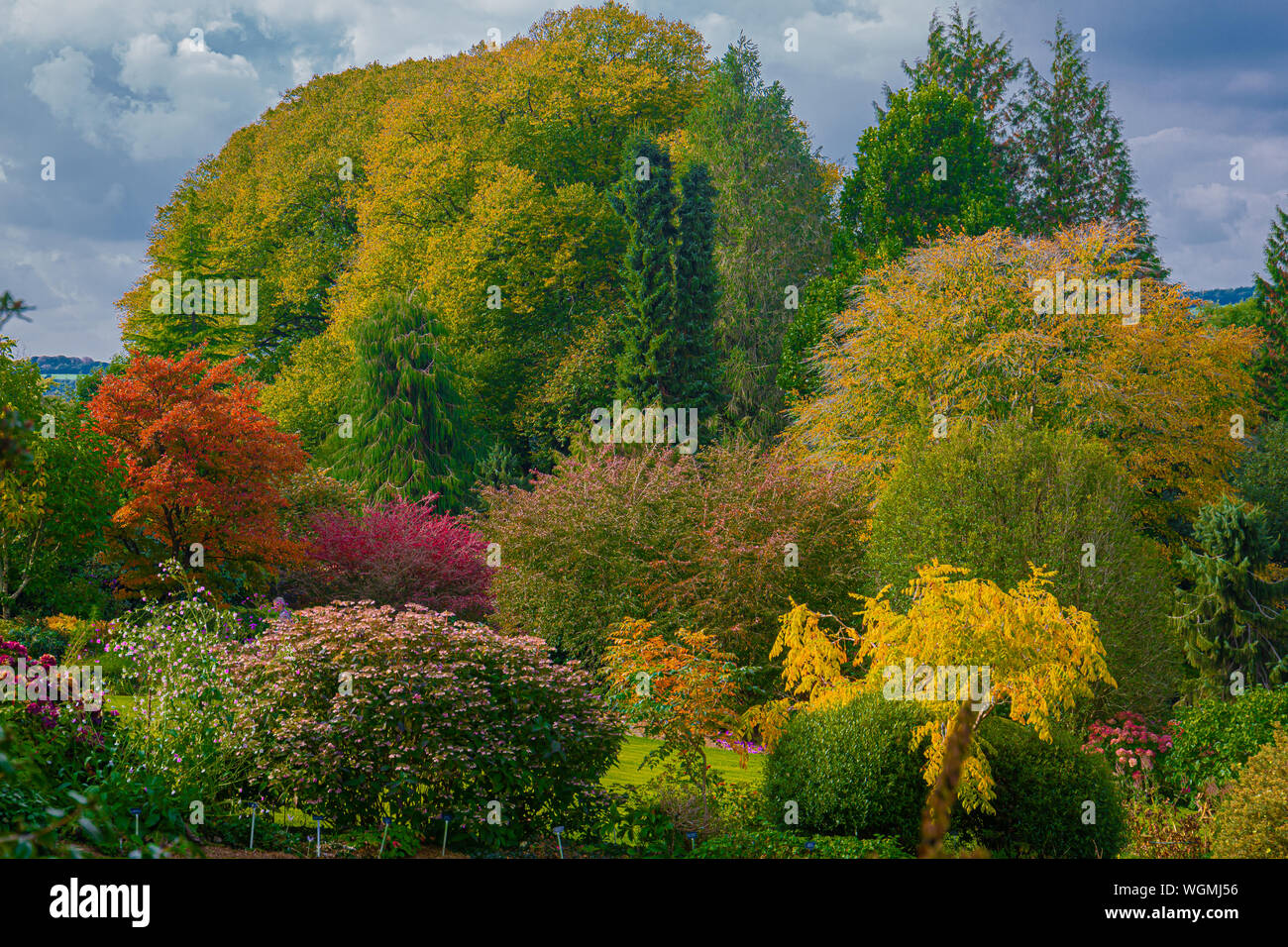 Devon tourist board hi-res stock photography and images - Alamy