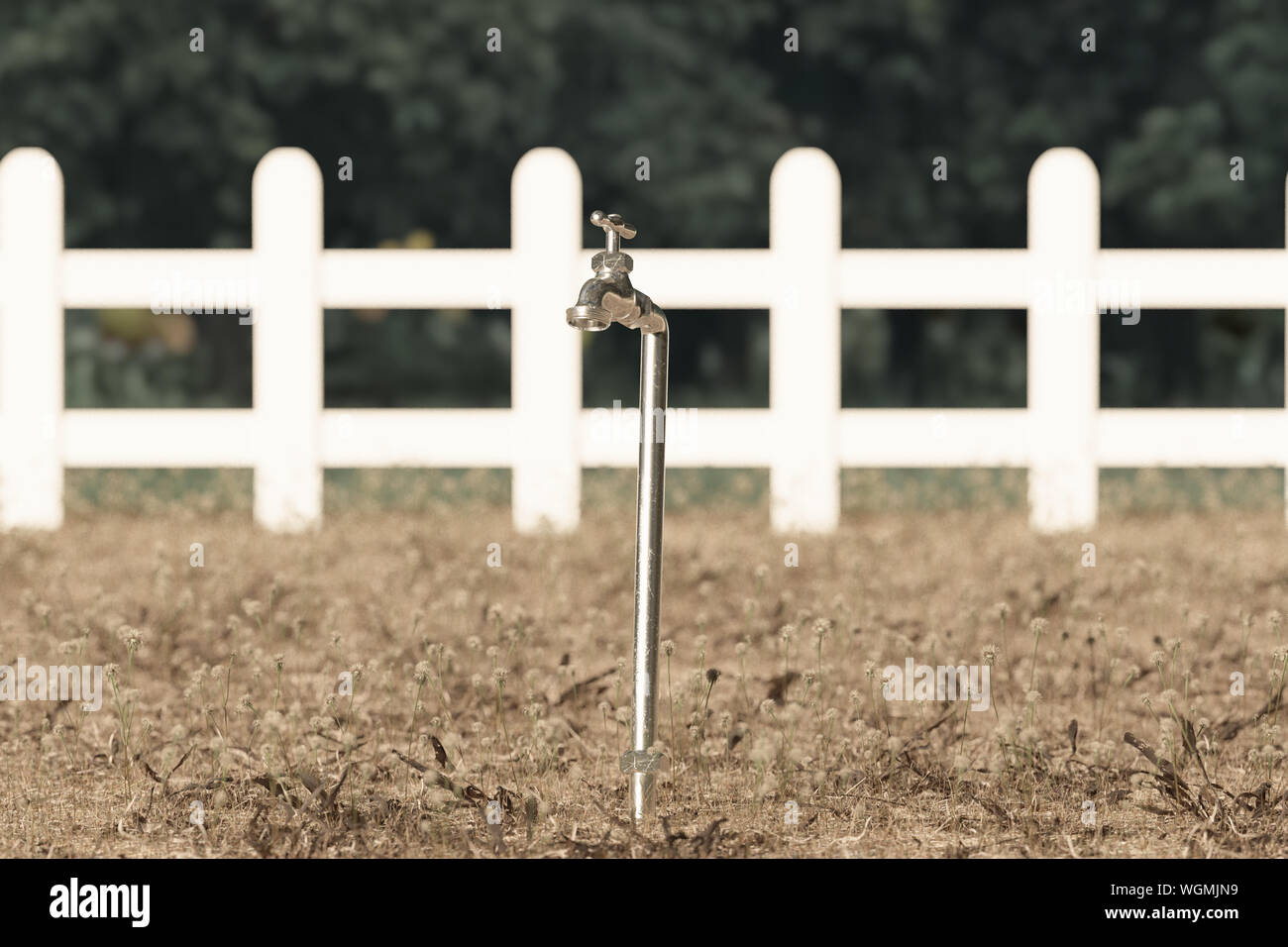 Garden spigot hi-res stock photography and images - Alamy