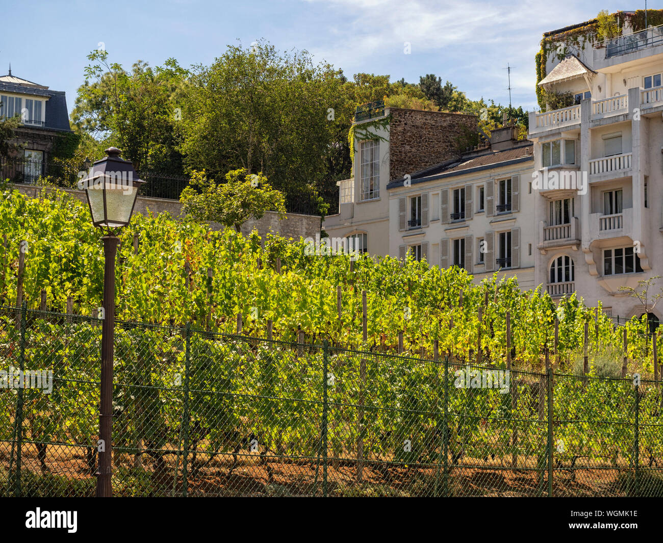 PARIS, FRANCE - AUGUST 04, 2018: Le Clos (Vigne du Clos) Montmartre ...