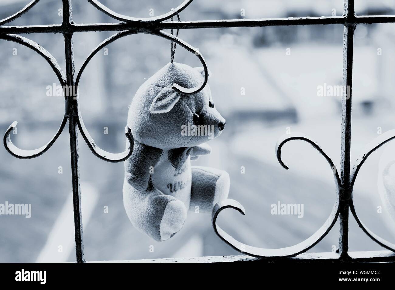 Hanging bear hi-res stock photography and images - Alamy