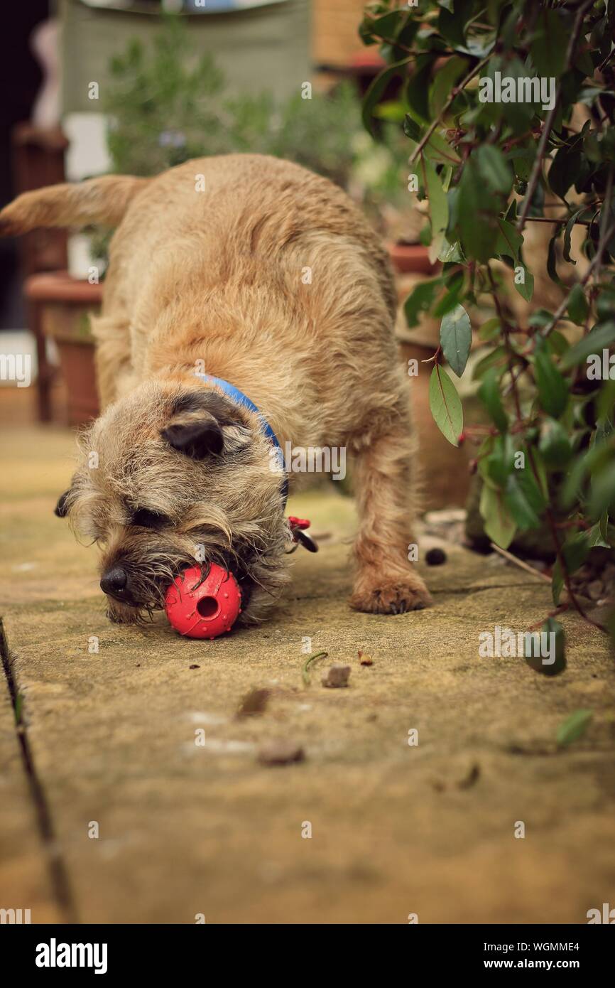 Grabbing his nose hi-res stock photography and images - Alamy