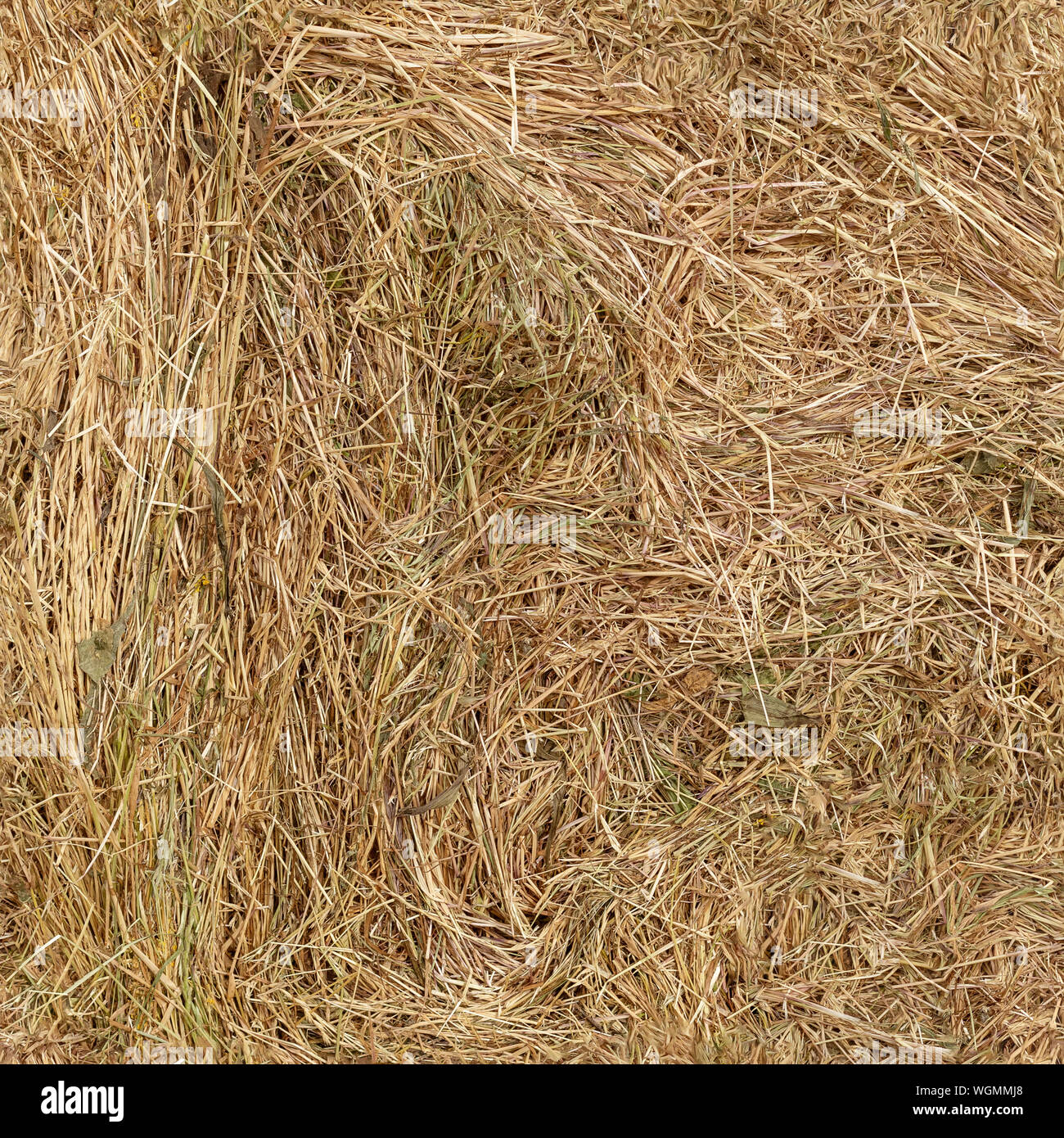 Seamless texture of straw texture in 4k resolution Stock Photo - Alamy