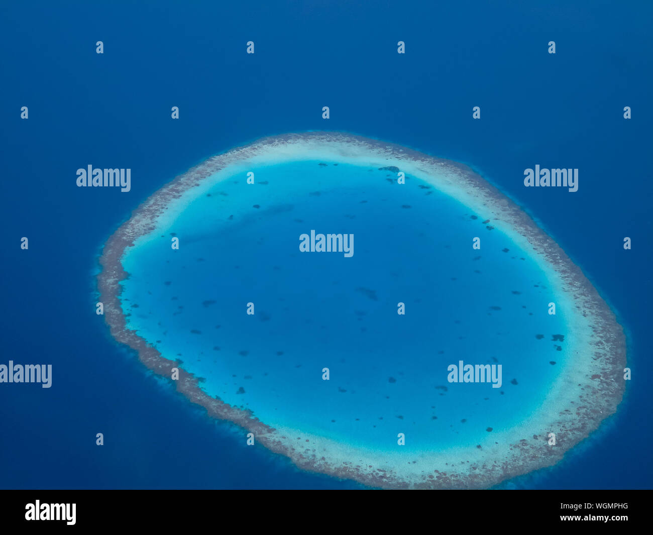 Indian ocean reef hi-res stock photography and images - Alamy