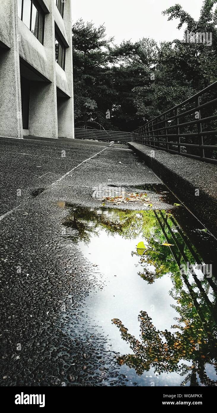Asphalt puddle hi-res stock photography and images - Alamy