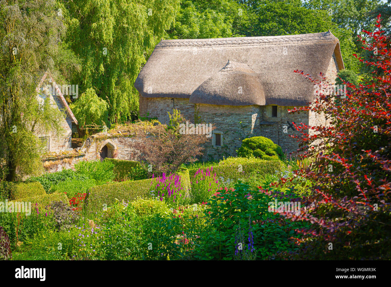 Devon images hi-res stock photography and images - Alamy