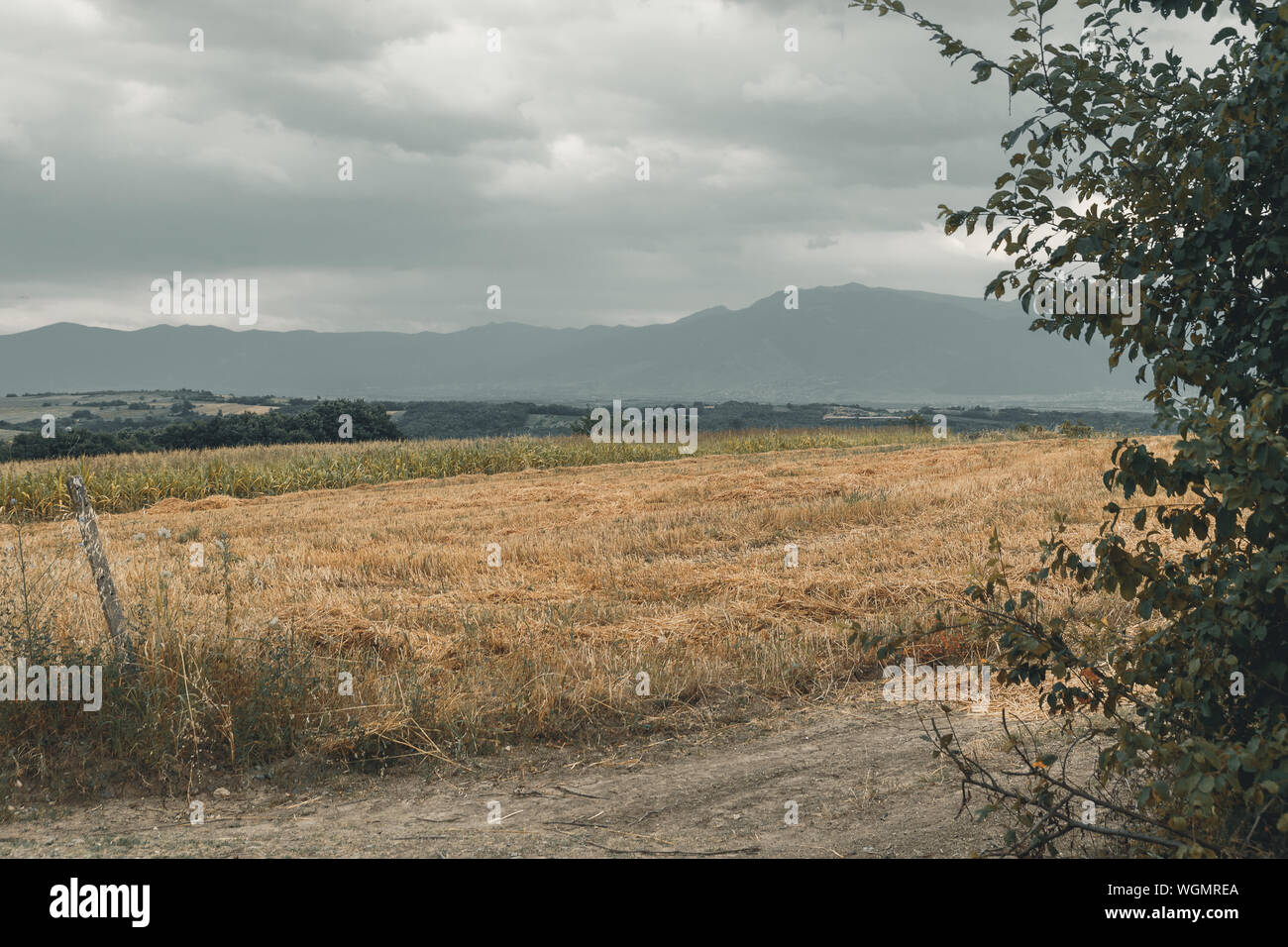 Rahovec hi-res stock photography and images - Alamy