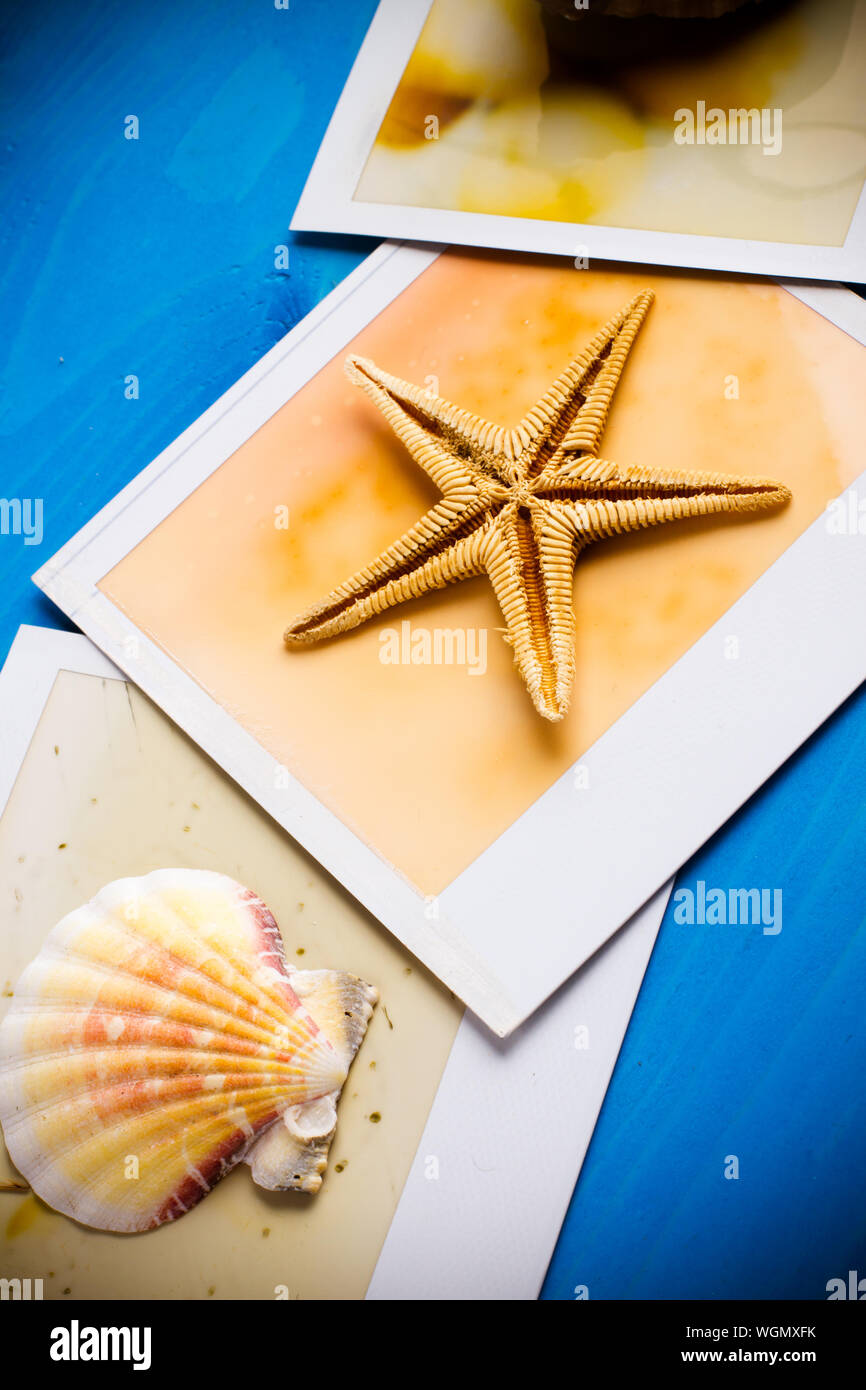 Picture shell hi-res stock photography and images - Alamy