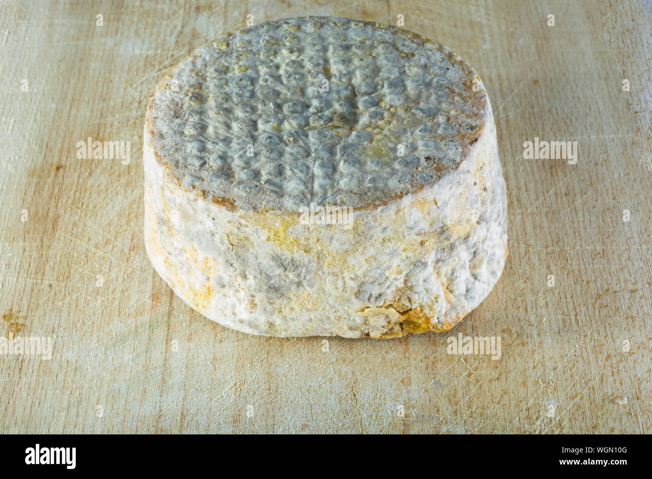 Rotten Cheese High Resolution Stock Photography and Images - Alamy
