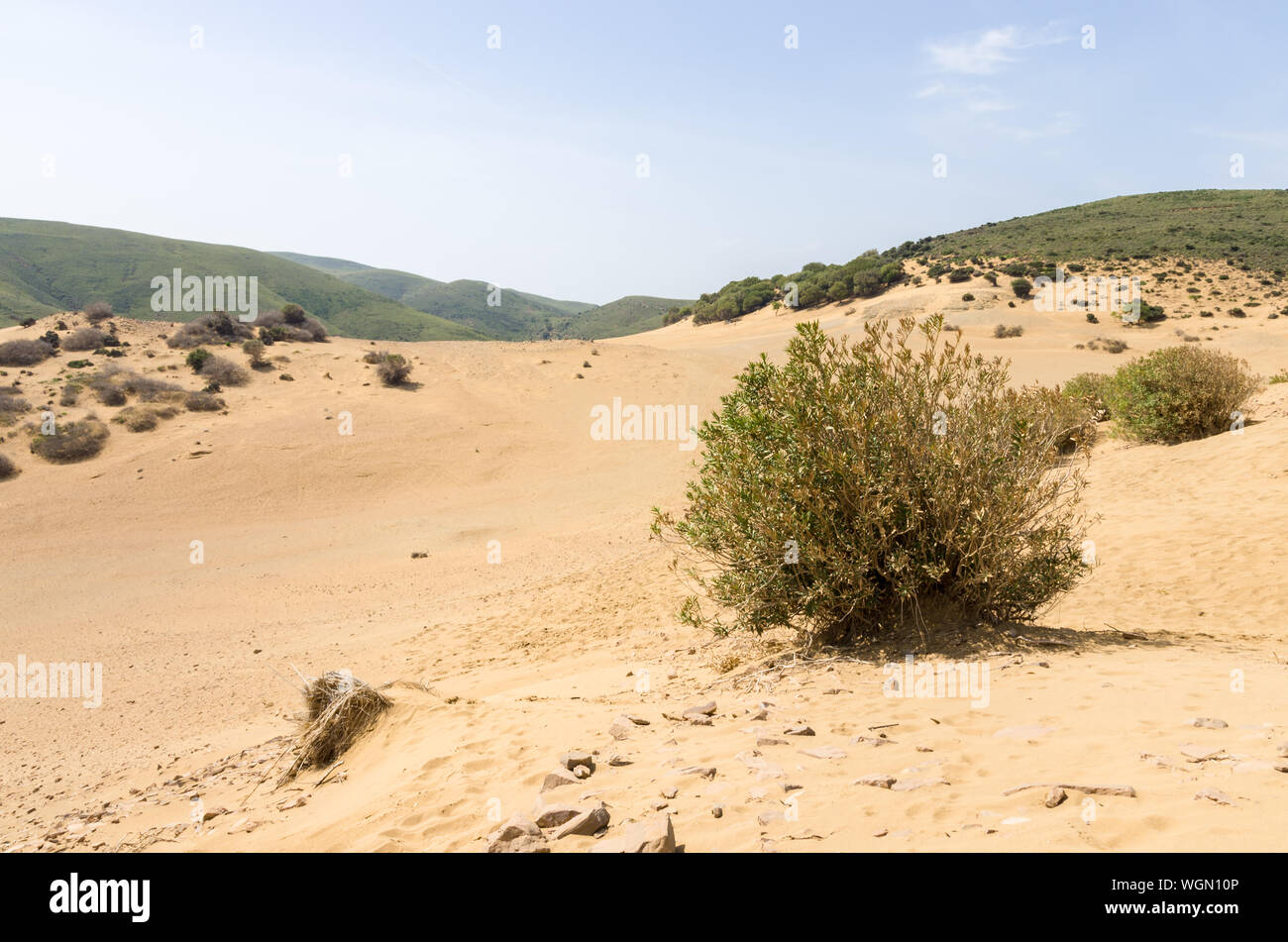 Sandune landscape hi-res stock photography and images - Alamy