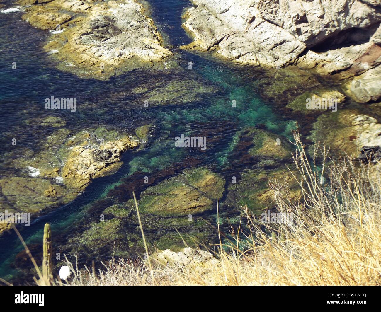 Coral reef geography hi-res stock photography and images - Alamy
