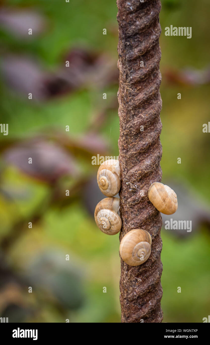 Metal slug hi-res stock photography and images - Alamy