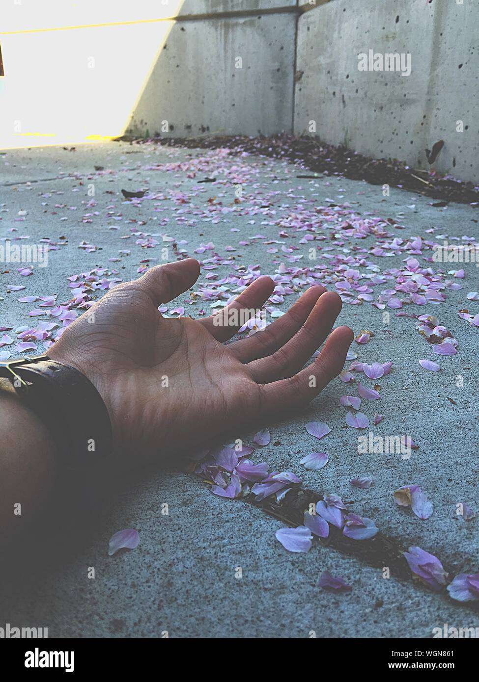 Hand on ground hi-res stock photography and images - Alamy