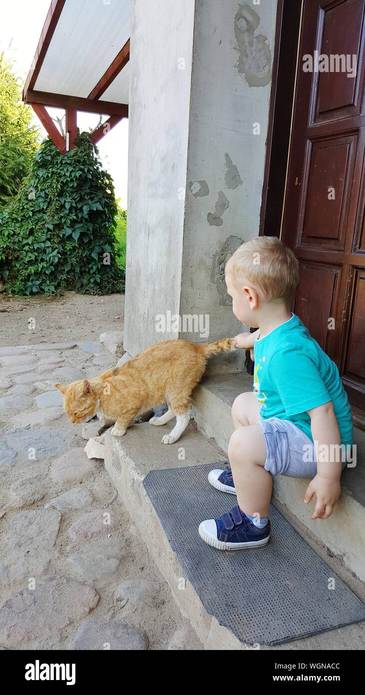 Boy and his cat hi-res stock photography and images - Alamy