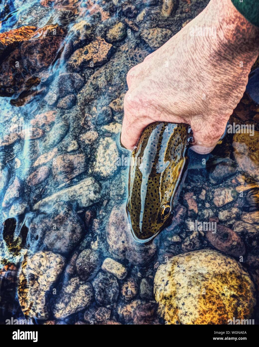 People catching fish hi-res stock photography and images - Alamy
