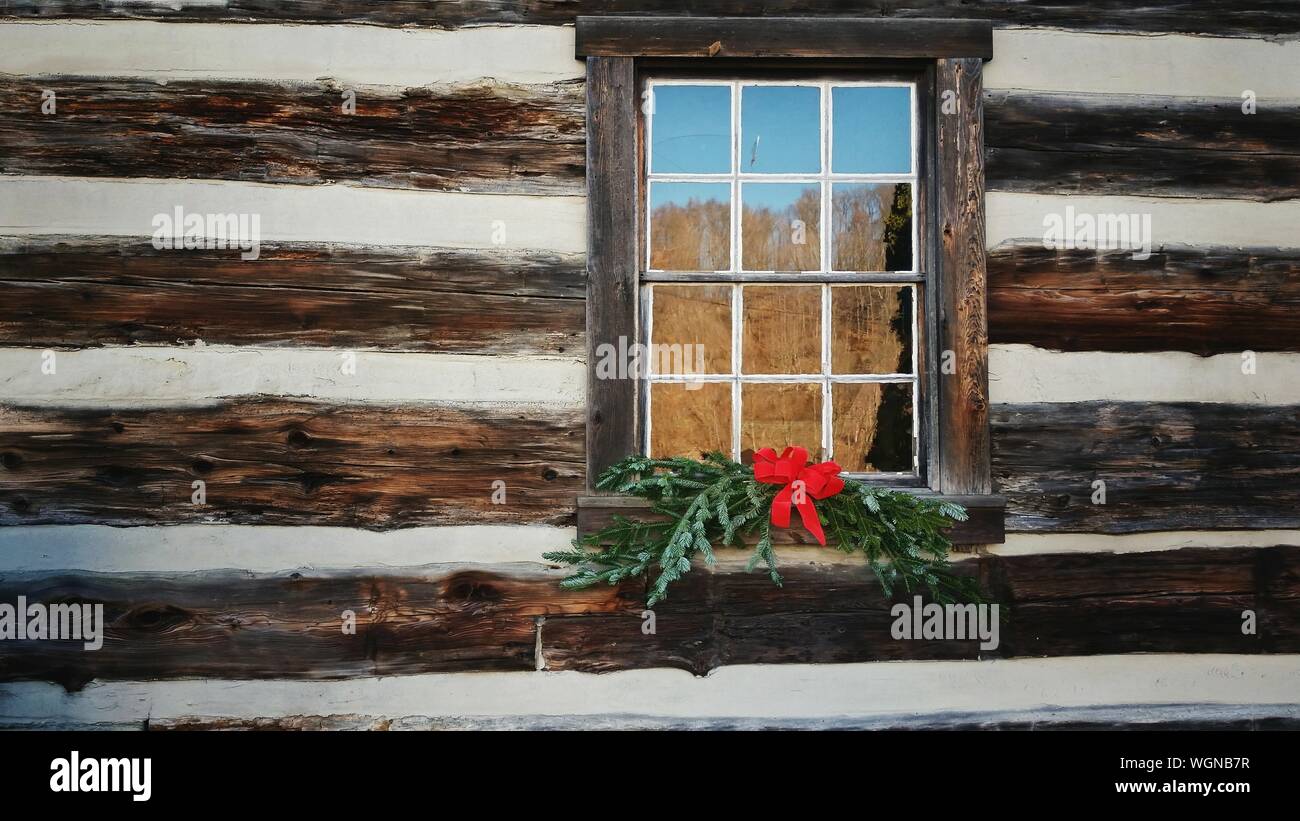 Trees Reflecting On The Window High Resolution Stock Photography and ...