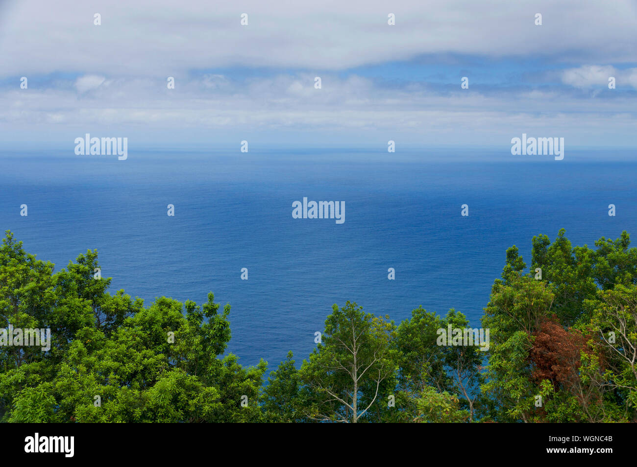 Calm trees hi-res stock photography and images - Alamy