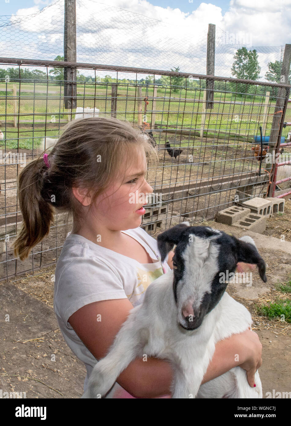 Person Holding Goat High Resolution Stock Photography and Images - Alamy