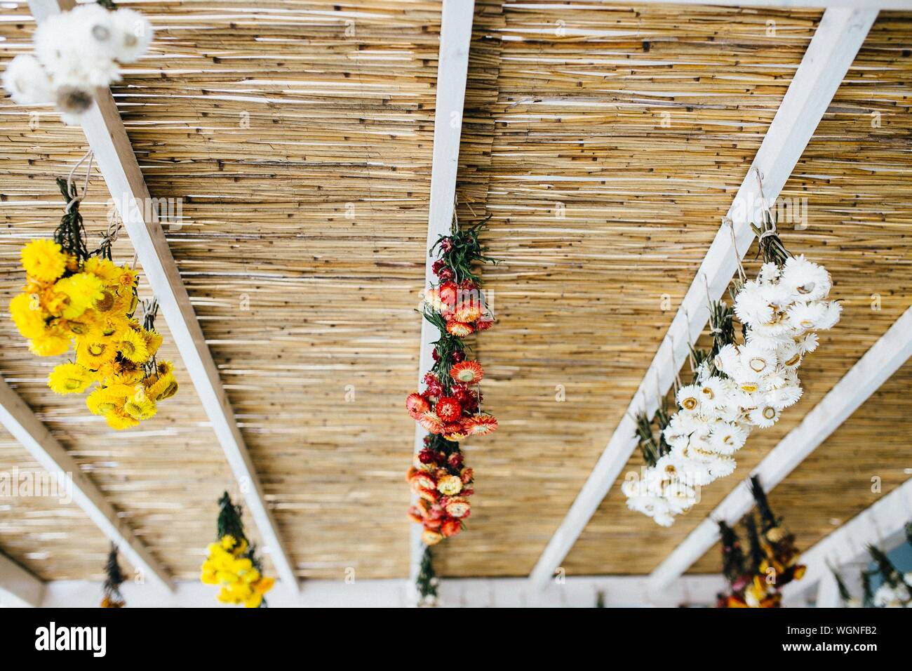 Hanging flowers ceiling hi-res stock photography and images - Alamy