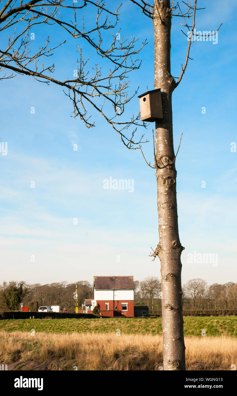 Box attached to tree trunk hi-res stock photography and images - Alamy
