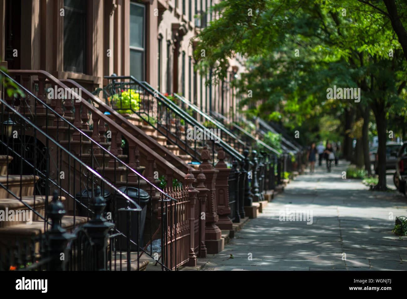 Scenic view of a classic Brooklyn brownstone block with a summer ...