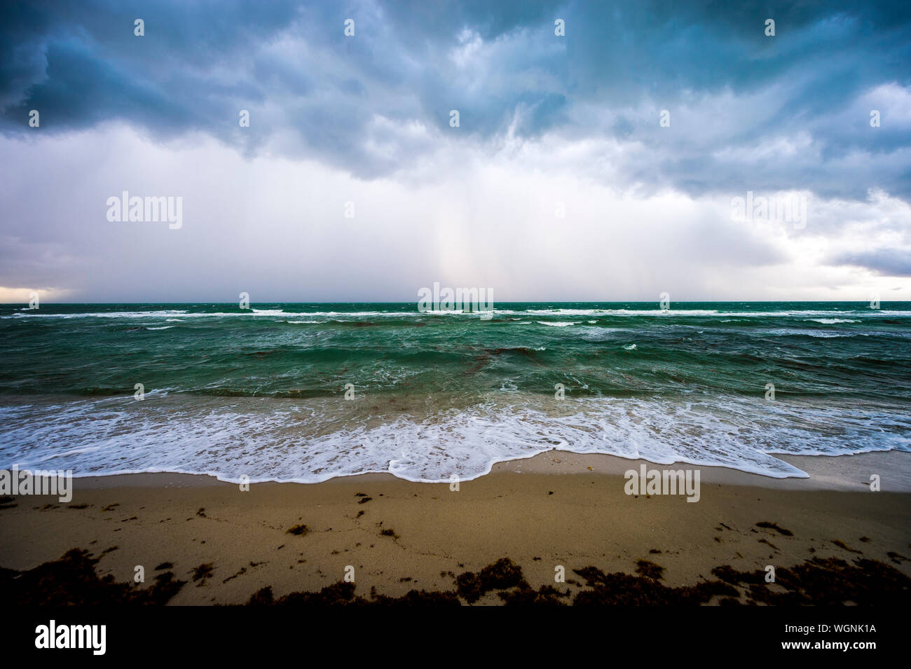 Dramatic stormy weather view of tropical waves with an infestation of ...