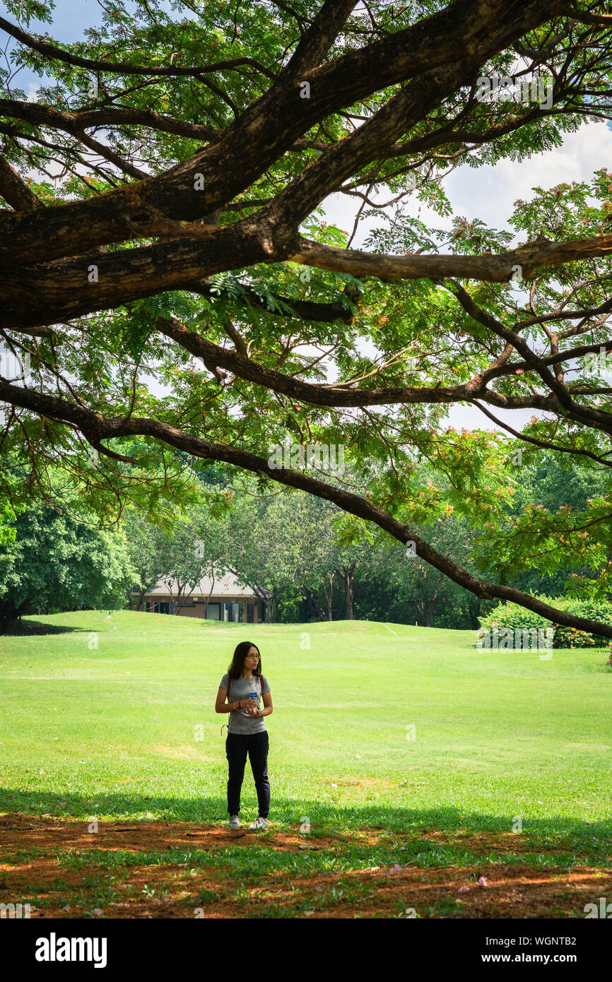 Women standing under tree hi-res stock photography and images - Alamy