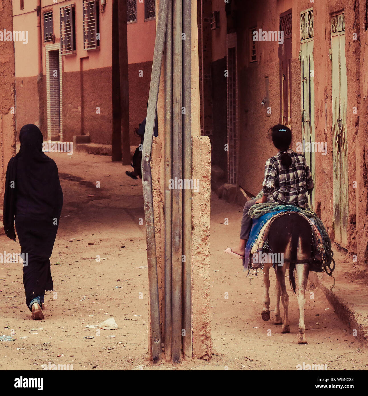 Rear of donkey hi-res stock photography and images - Alamy