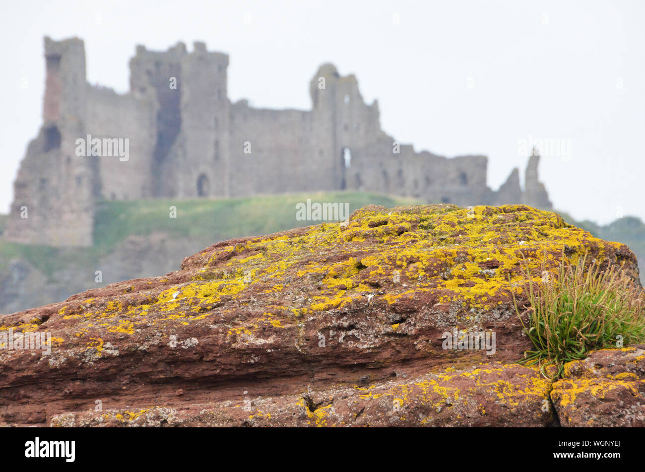 Moss castle hi-res stock photography and images - Alamy