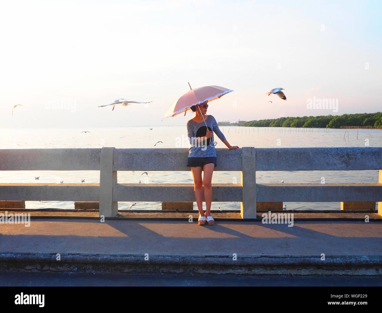 Woman Leaning Over Bridge Railing High Resolution Stock Photography and ...