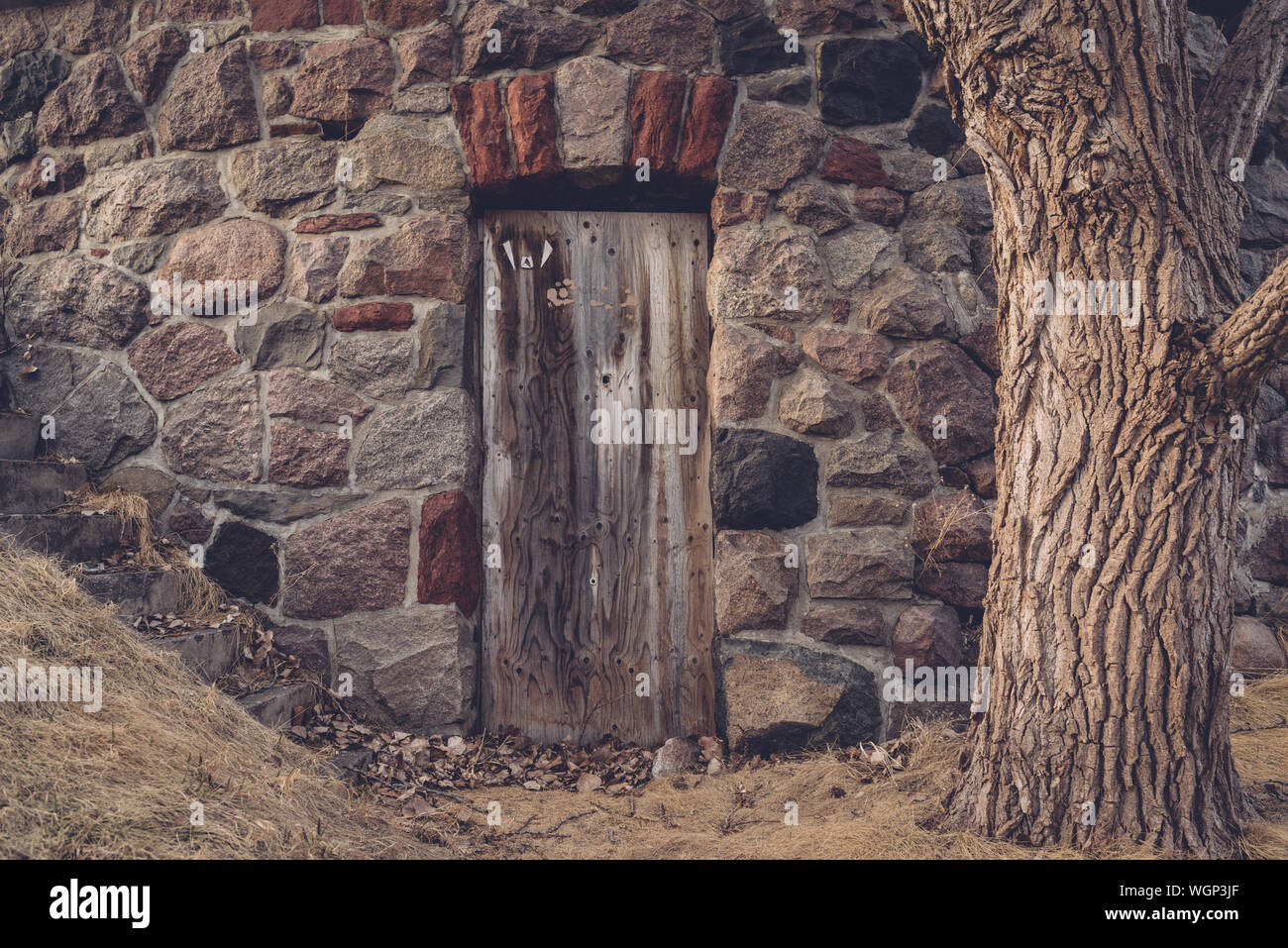 Tree trunk door hi-res stock photography and images - Alamy