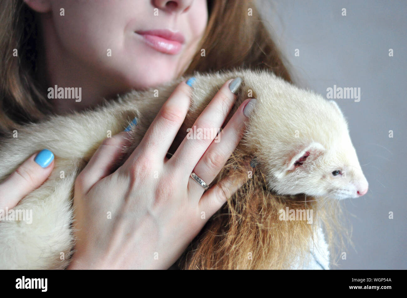 The woman of the ferret hi-res stock photography and images - Alamy