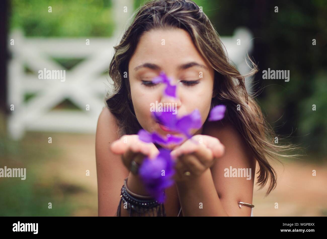 Petals blowing hi-res stock photography and images - Alamy
