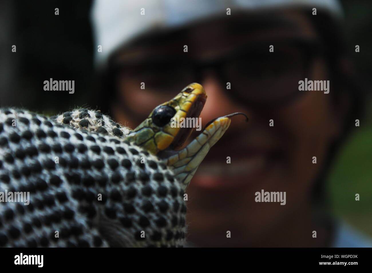 Man holding lizard hi-res stock photography and images - Alamy
