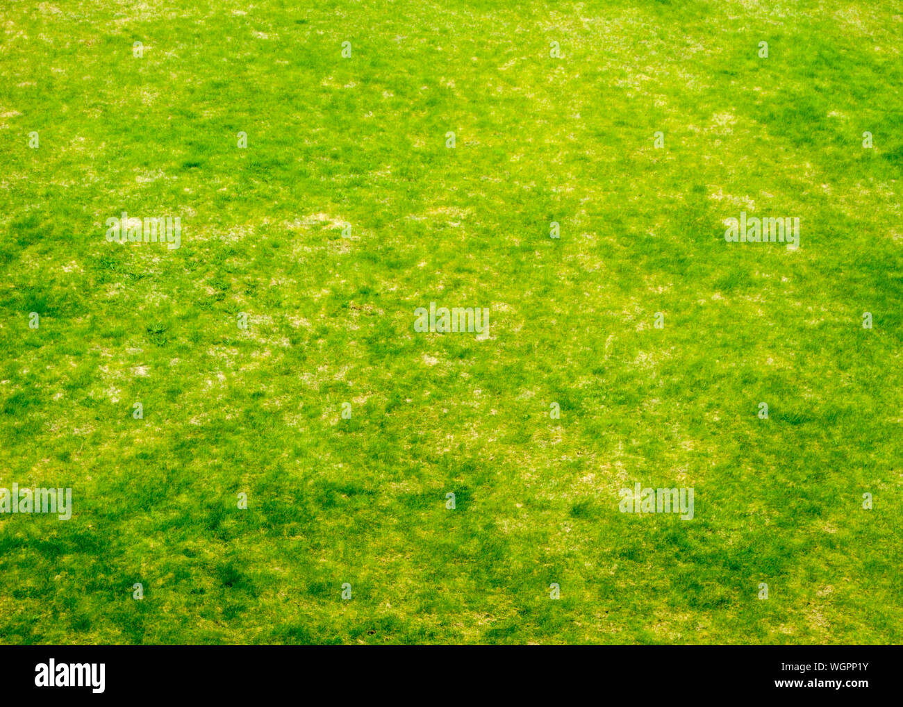 Trampled grass hi-res stock photography and images - Alamy