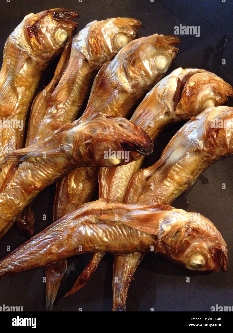 Sandfish High Resolution Stock Photography and Images - Alamy