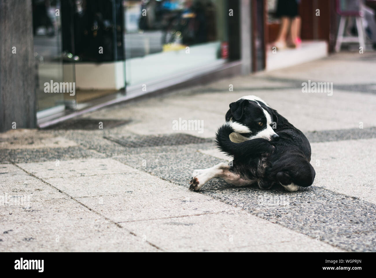 Back scratching hi-res stock photography and images - Alamy