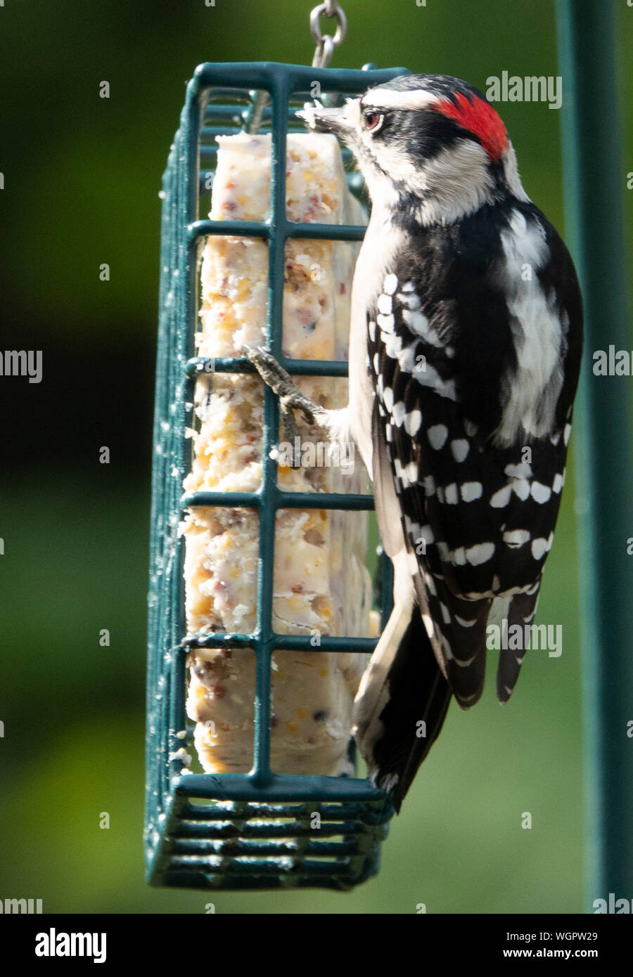 Him suet hi-res stock photography and images - Alamy