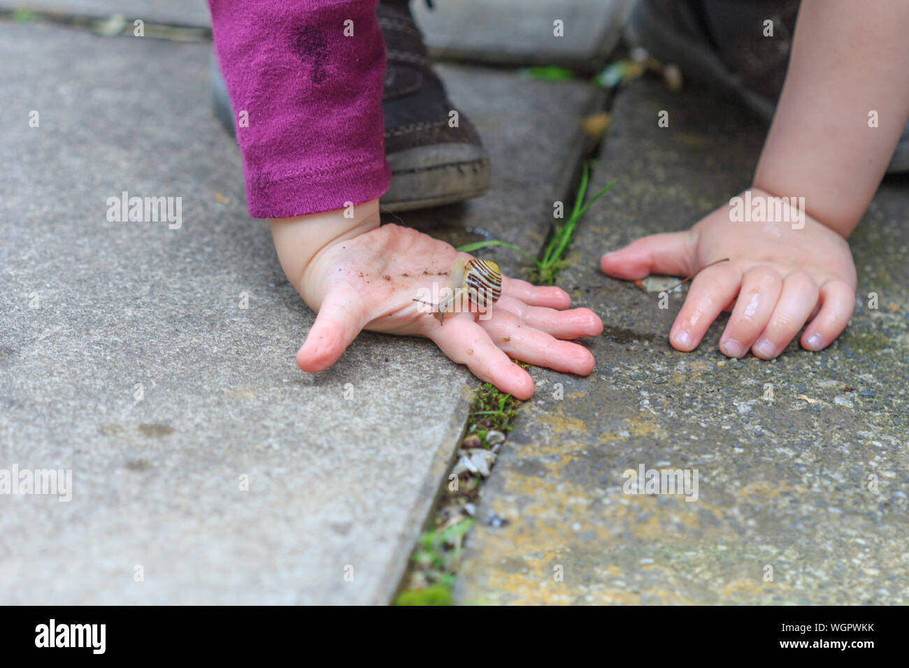 Child holding a snail hi-res stock photography and images - Alamy