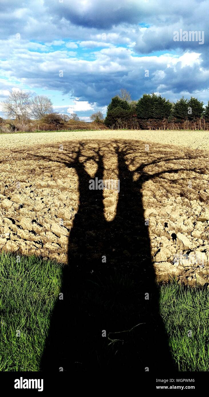Cloud shadow on field hi-res stock photography and images - Alamy