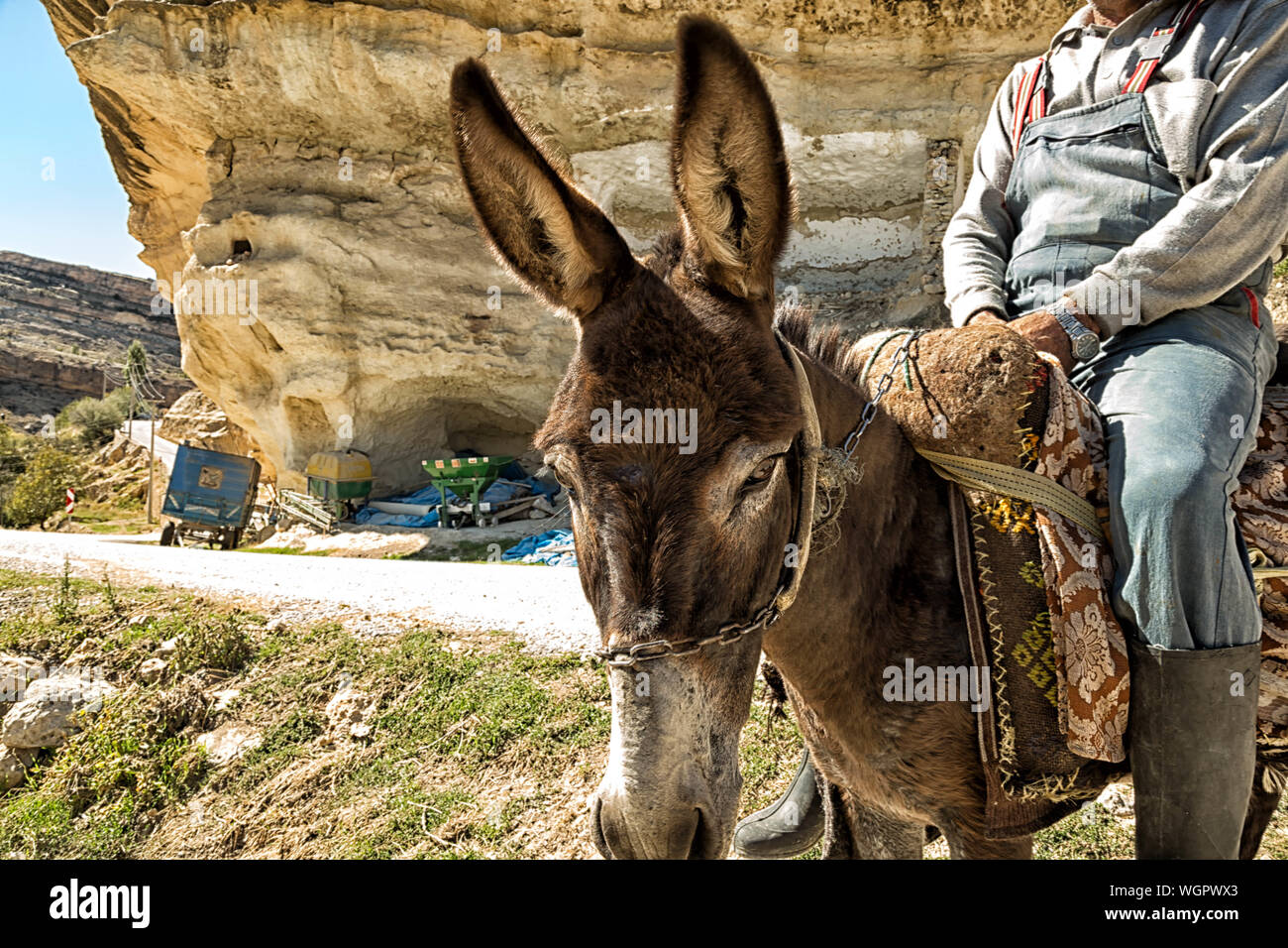 Man riding donkey hi-res stock photography and images - Alamy
