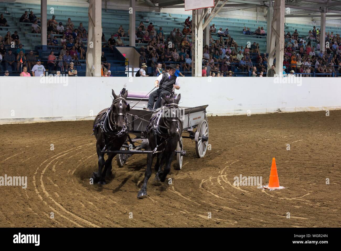 A competitor in the draft horse open team driving competition, at the ...
