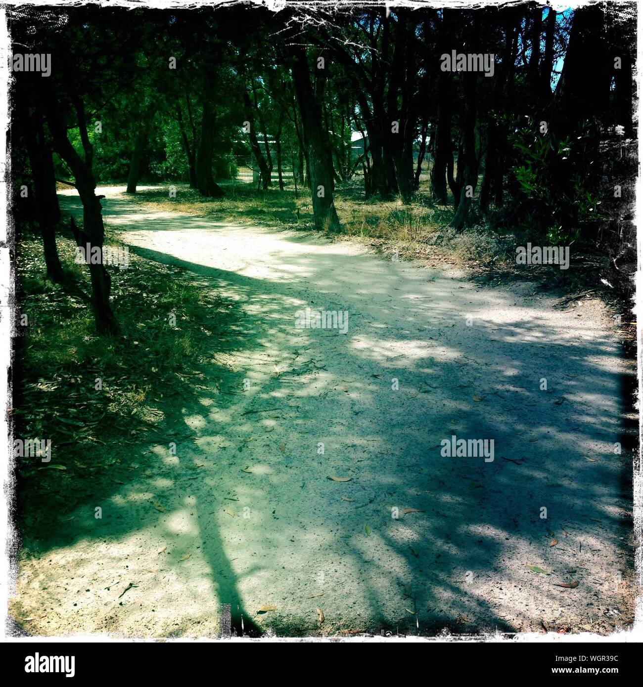 Empty park path hi-res stock photography and images - Alamy