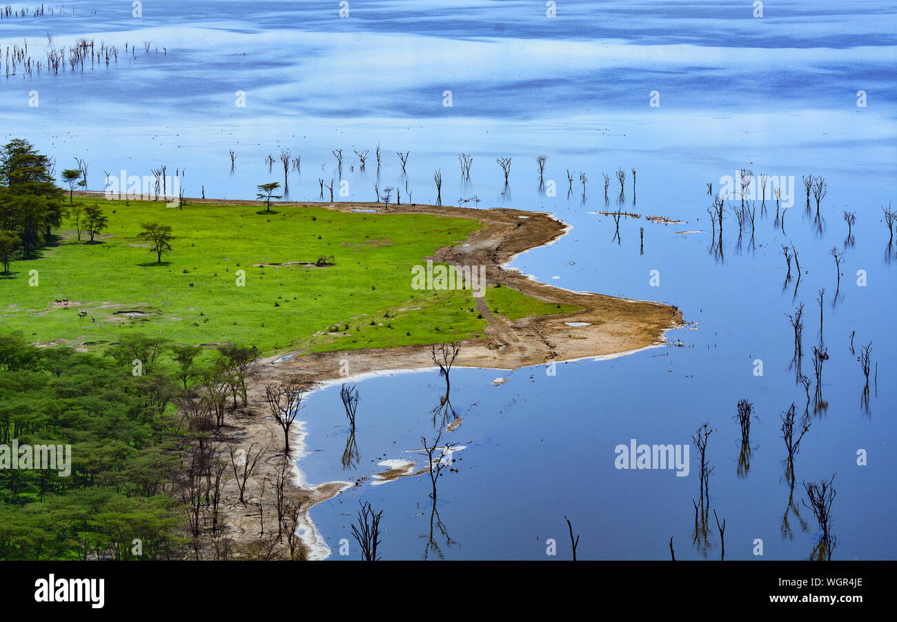 Nakuru Lake Aerial High Resolution Stock Photography and Images - Alamy