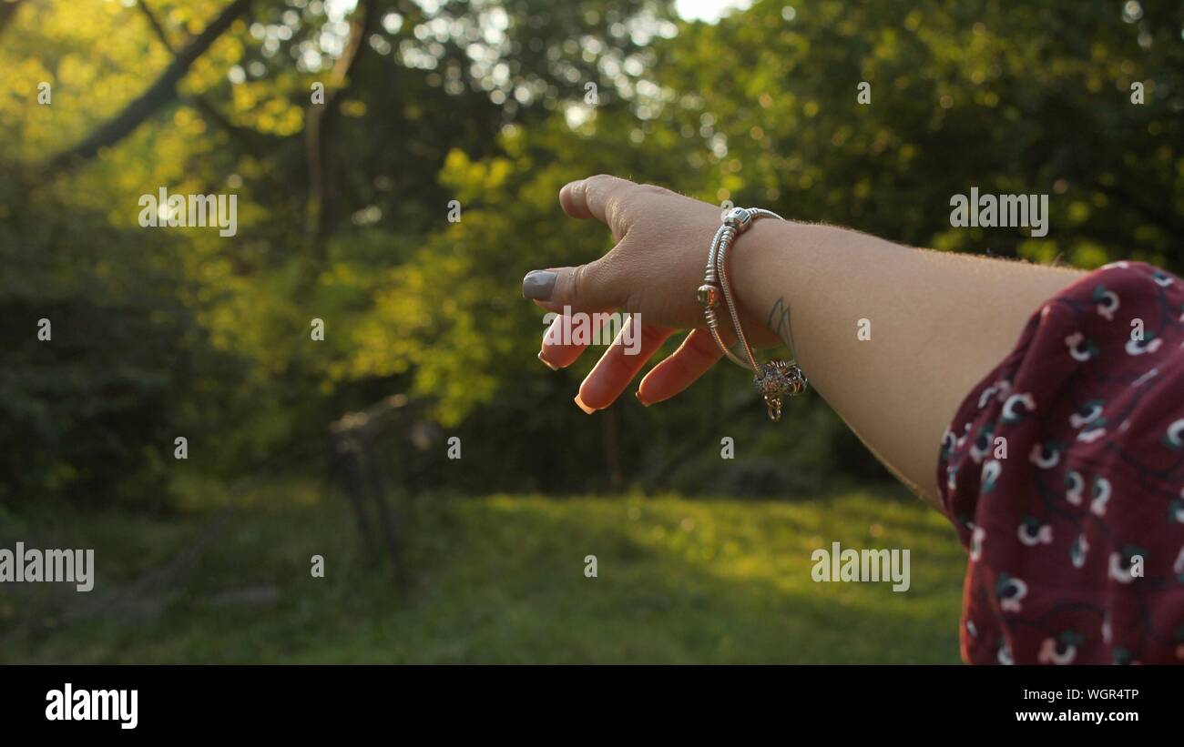 Finger pointing to tree hi-res stock photography and images - Alamy