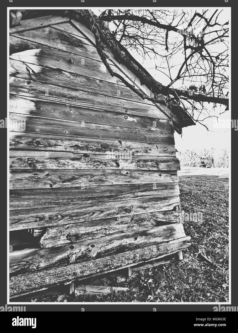 Branch hut hi-res stock photography and images - Alamy