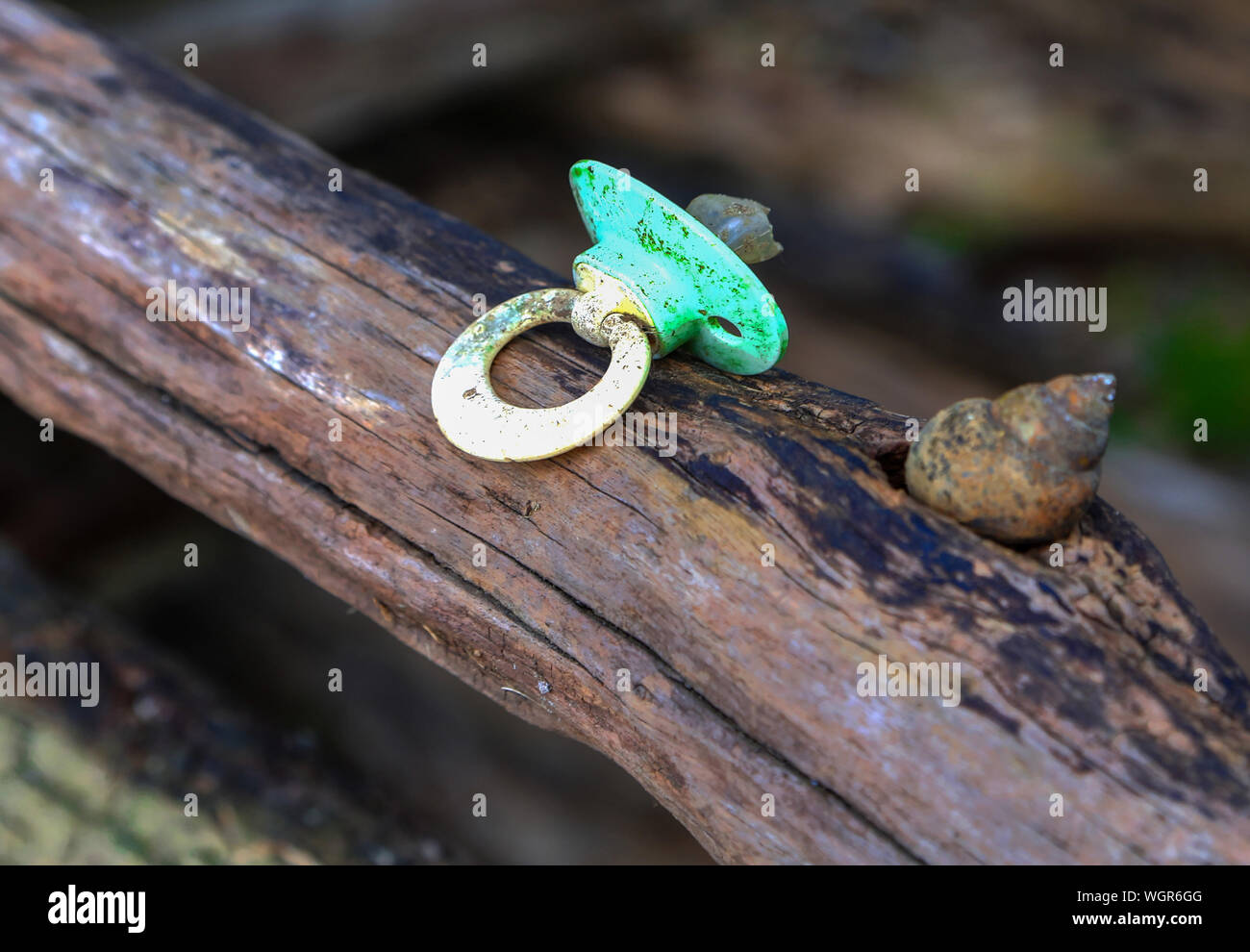 Baby sucker hi-res stock photography and images - Alamy